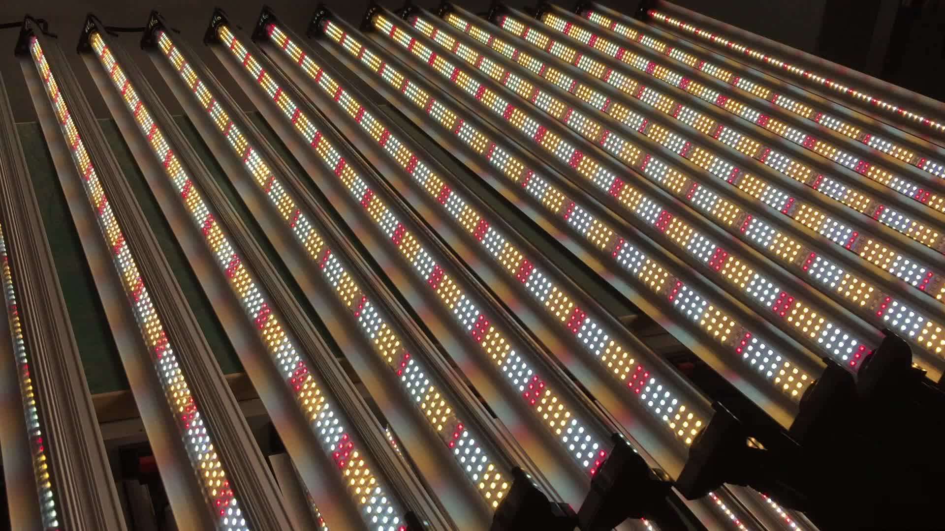 1.2m 80w Urban Greenhouse Aeroponics Indoor Container Farming High Ppfd ...