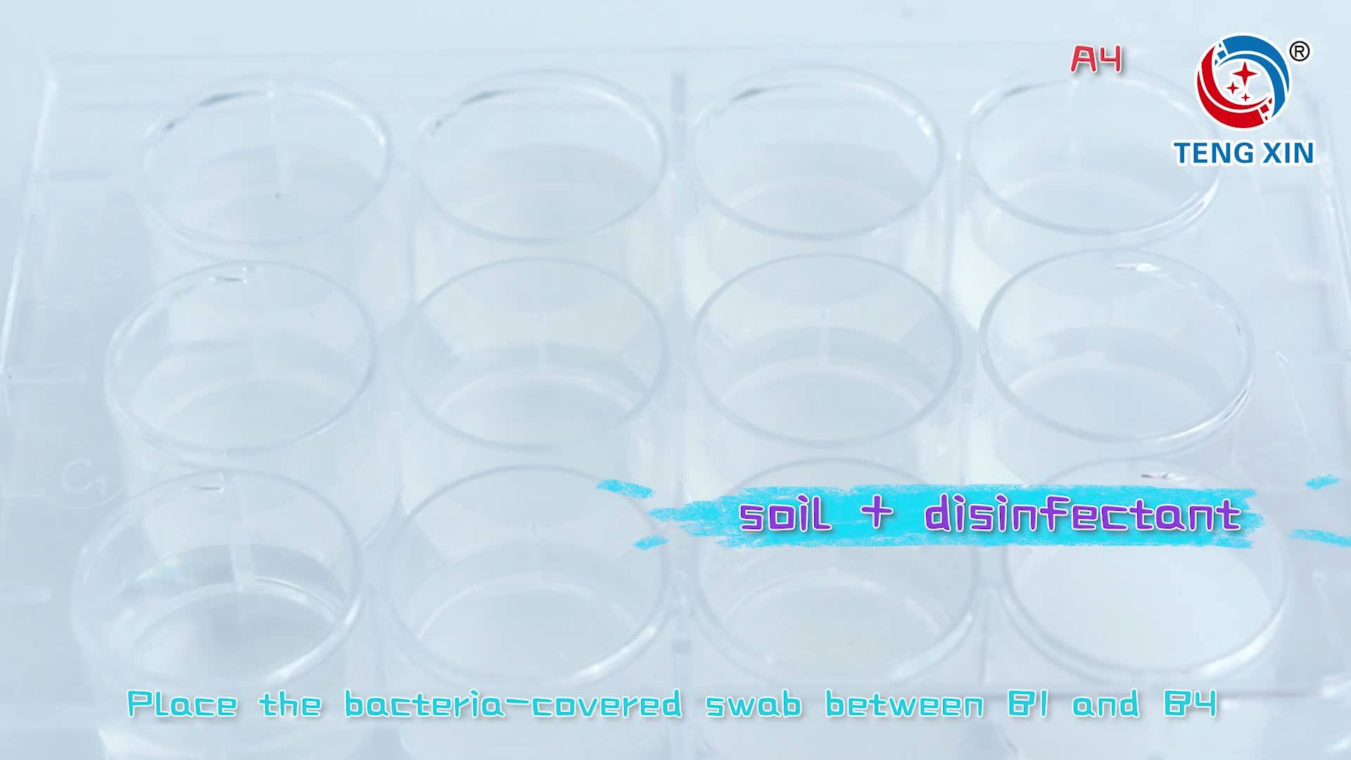 Fun Bacteria Experiment Kit Kids Science Set - Buy Kids Science,Kids ...