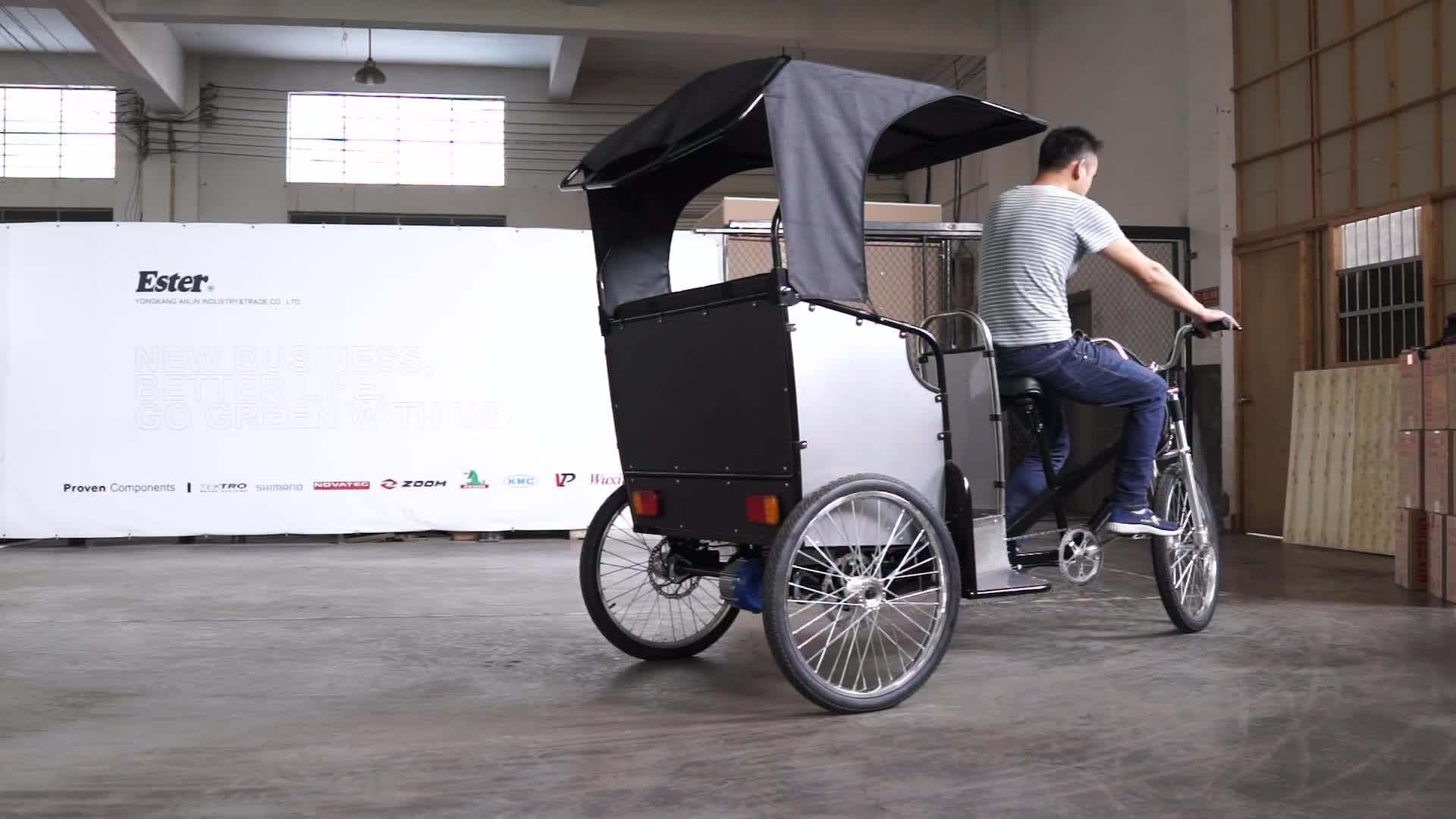Ester Classic Electric Passenger Rickshaw 3 Wheel Bicycle,Old Model ...