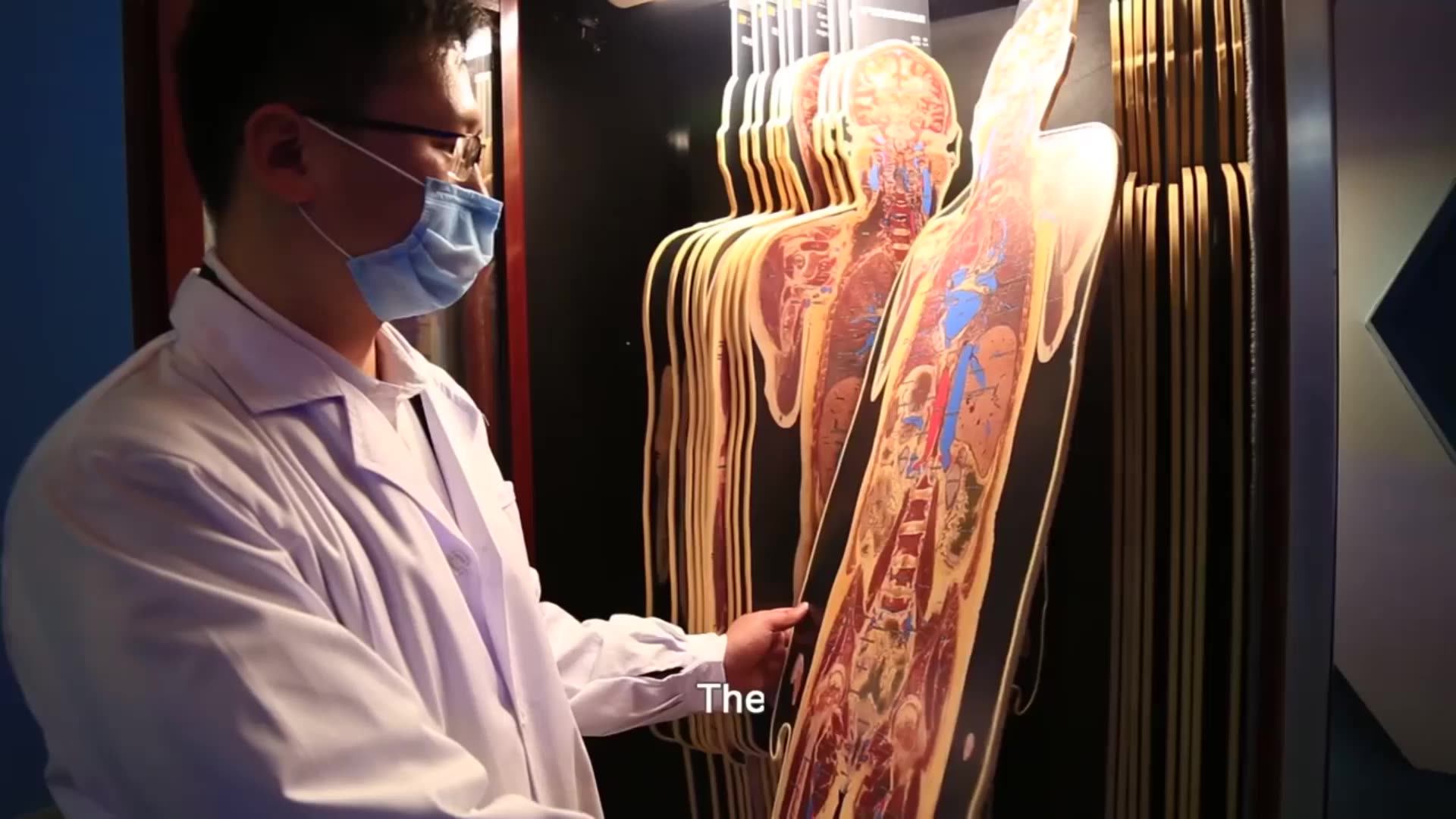 Ecdh Digital Human Model For Anatomy Teaching Medical School Students ...