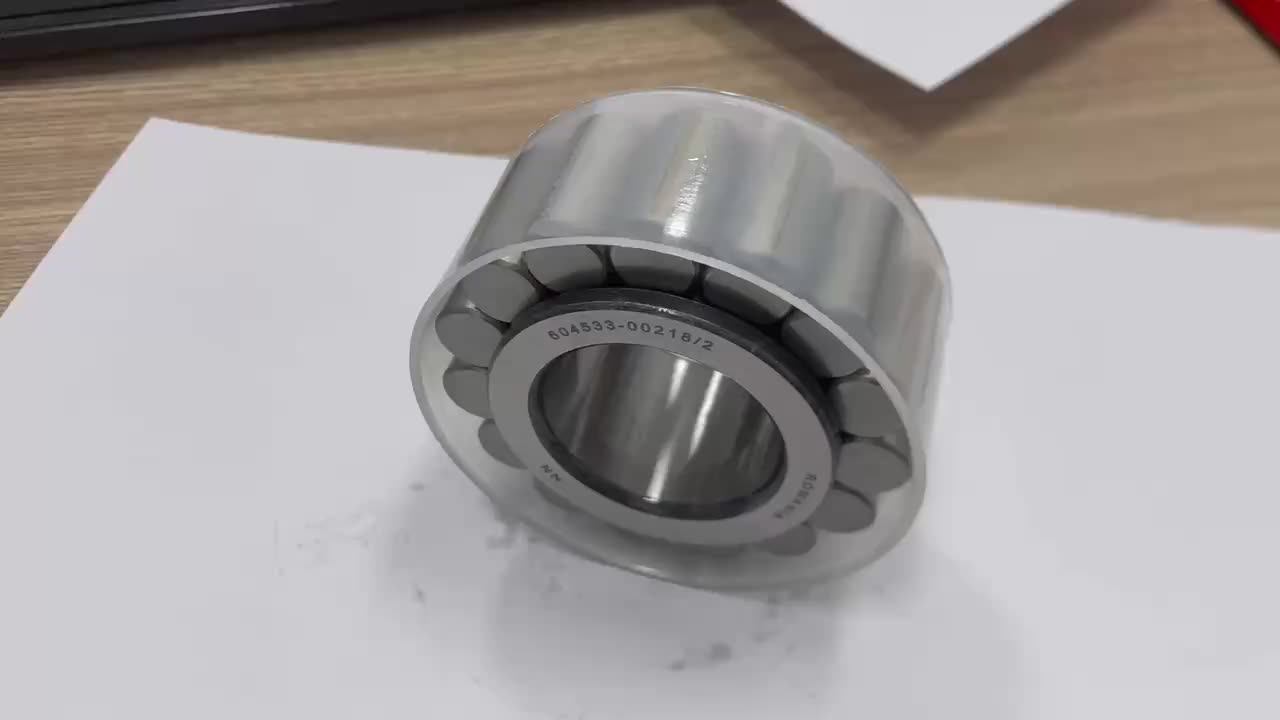 Single-row High Quality Bearing 604533-00218/2 Full Complement ...