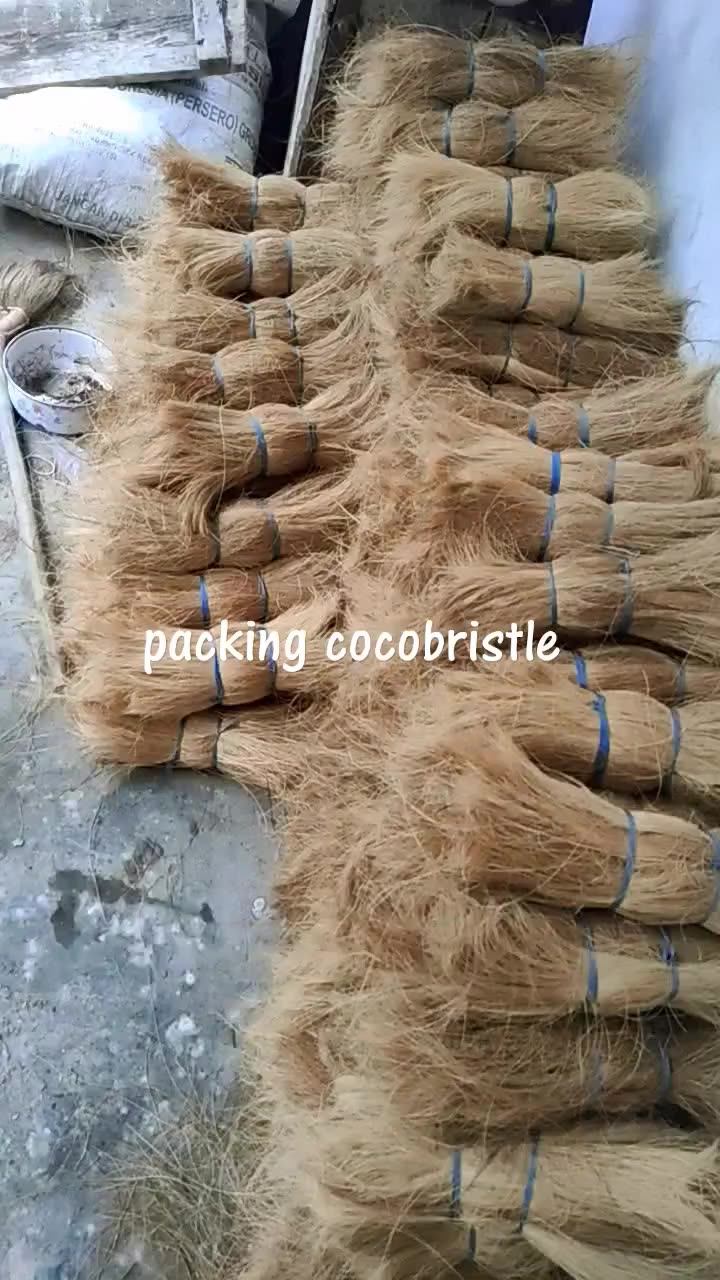 Premium Quality Fine Coconut Fiber Bristle Multipurpose Coco Husk ...
