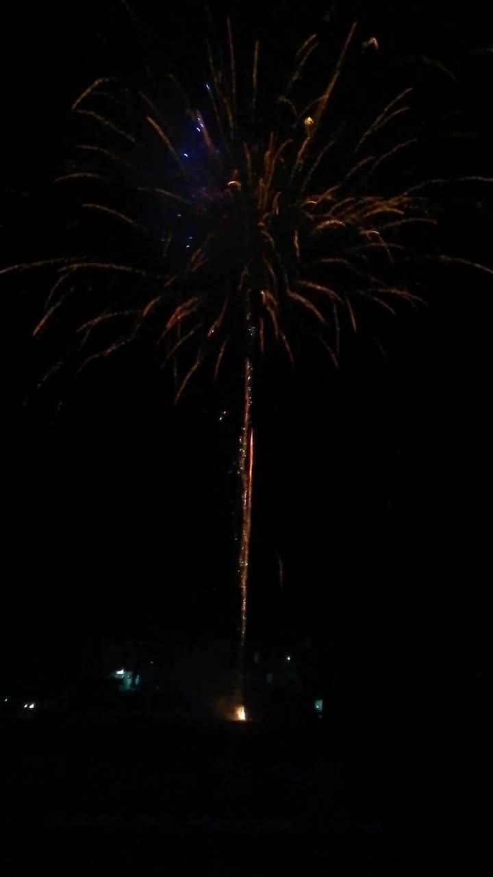 1.3g Un0335 4 Inch Shell Salute Fireworks - Buy Shell 4 Inch Salute ...