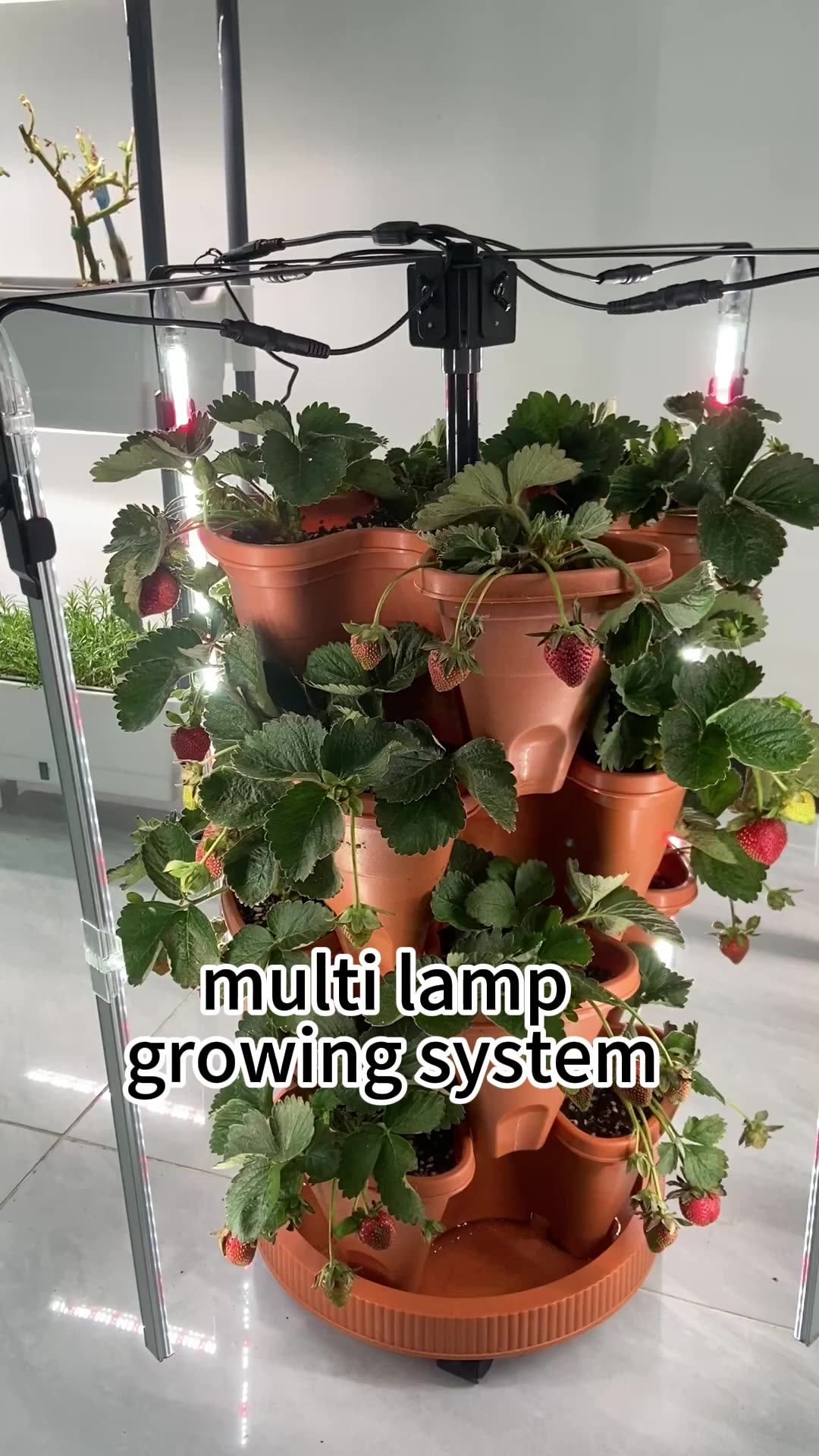 Soil Cultivation Strawberry Herb Flower And Vegetable Multi Vertical ...