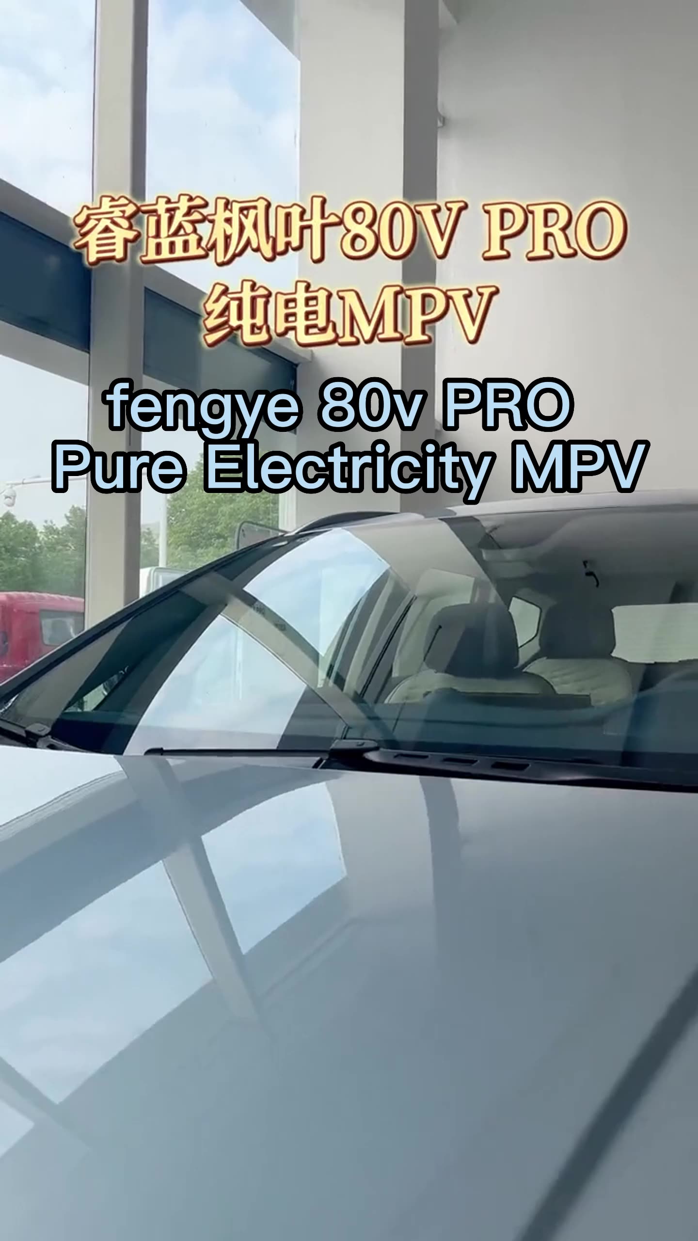 2022 New Energy Low-cost Car Electric Car Adult Mpv Maple Leaf 80v High-speed Electric New Car ...