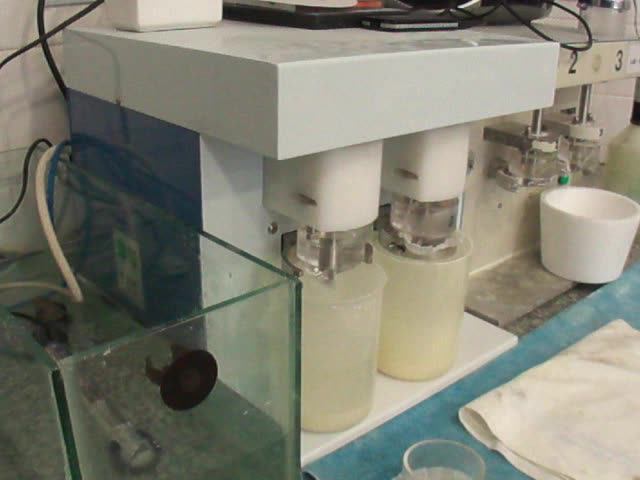 Wheat Flour Gluten Analysis- Lab Gluten Washer Dryer Gluten Centrifuge ...