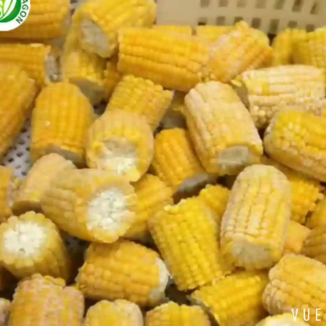 Iqf Frozen Fresh Dried Sweet Corn Kernel For Sale - Buy Fresh Corn For ...