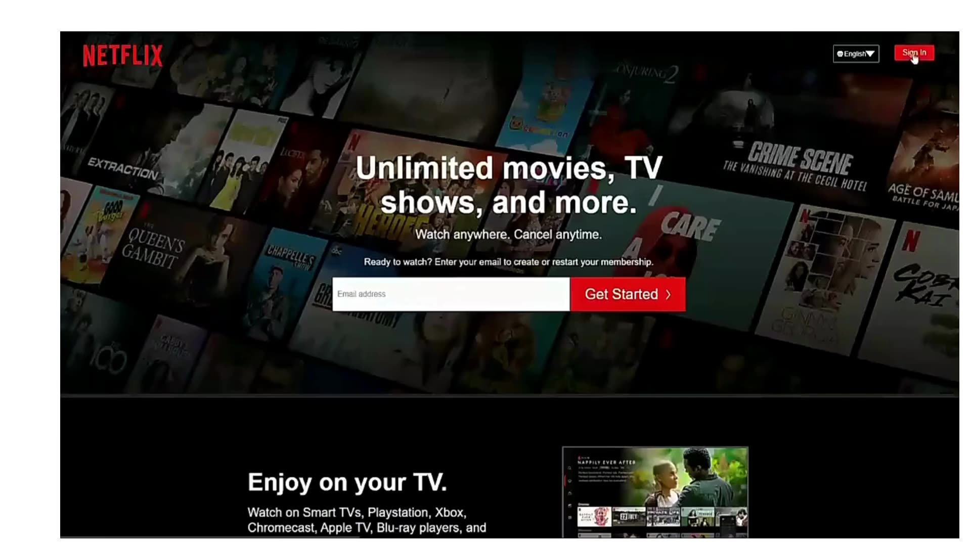 Netflx 24/7 Online Timely Email Delivery 2022 Stable And Safest ...