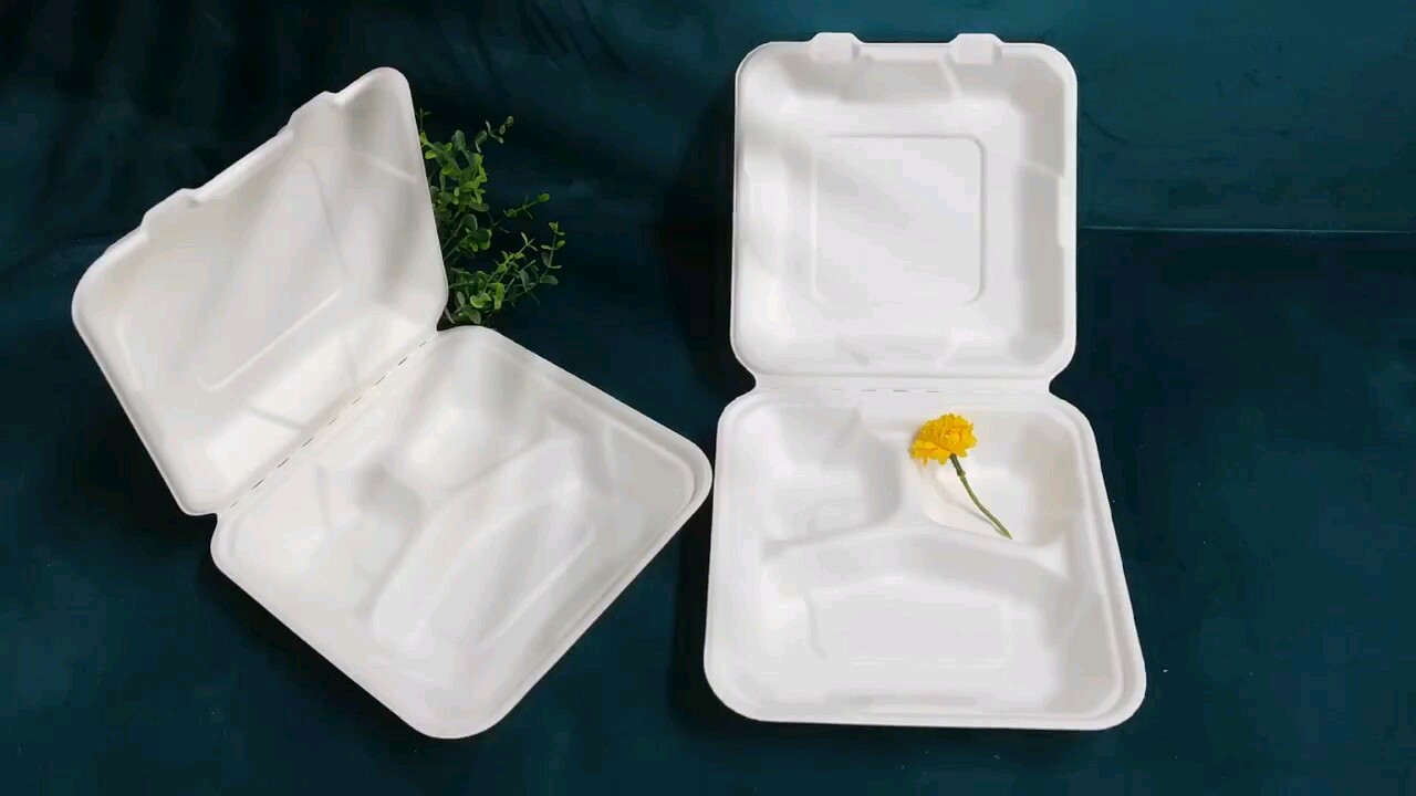 Disposable Bagasse Eco-friendly Biodegradable 100% Compostable ...