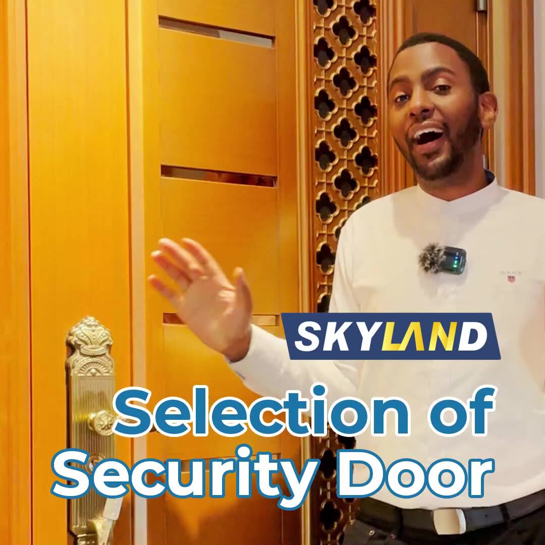 Skyland Front Door Design Villa Pivot Entrance Security Door Modern ...