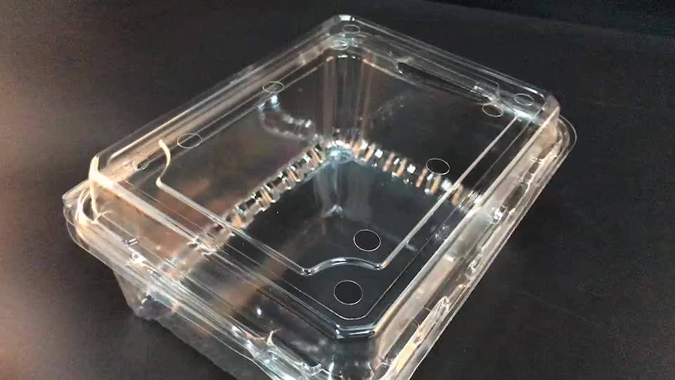 125g 250g 500g Plastic Fruit Packaging Clear Box Fruit Berry Strawberry ...