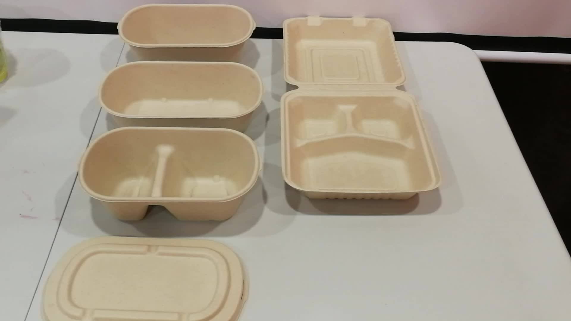 Biodegradable Disposable Paper Lunch Box Takeaway Food Container - Buy ...