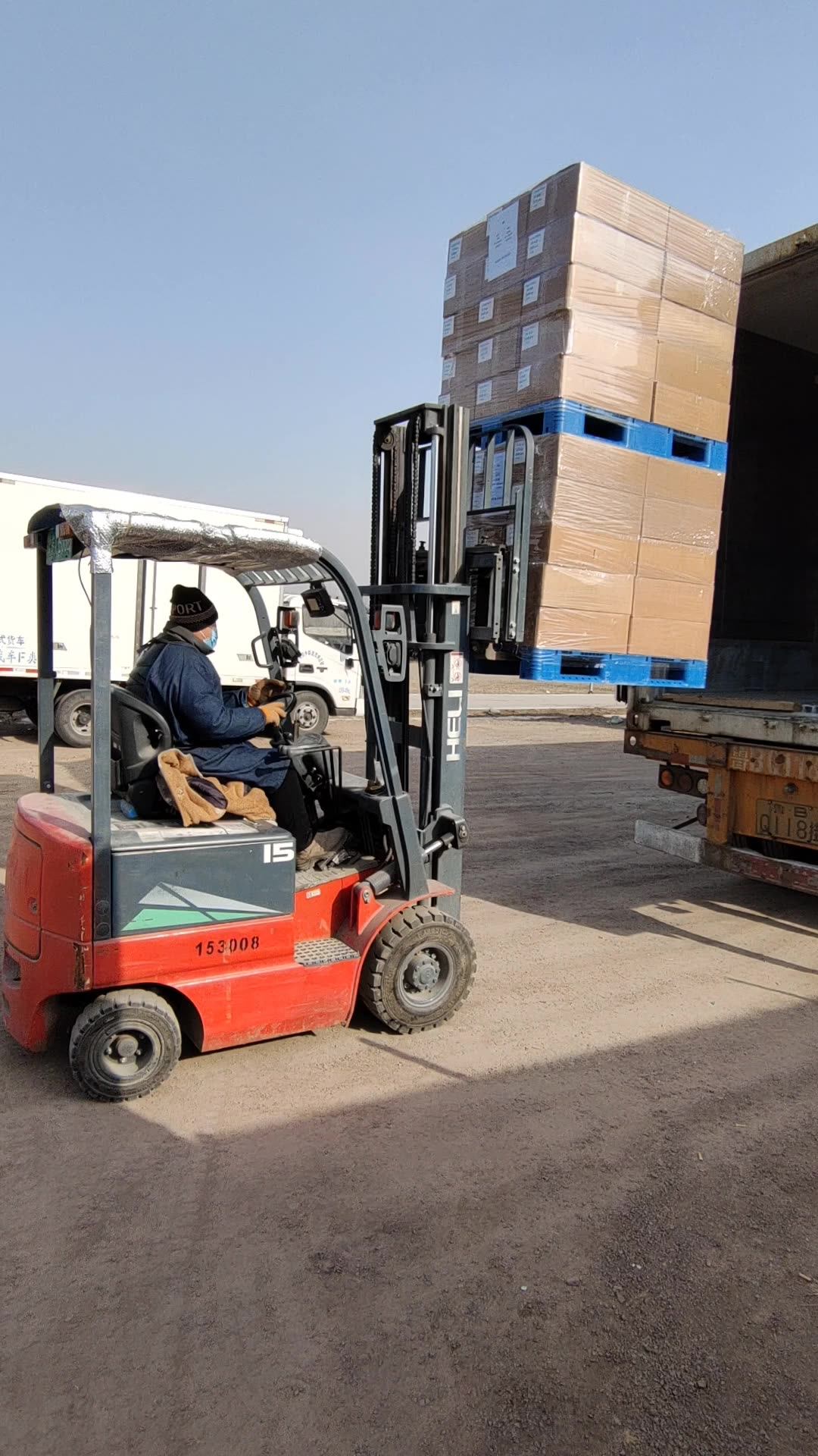 Frozen Mice For Pet Snakes,Lizards,Frogs,Turtles,Crocodiles,Hawks,Cats ...