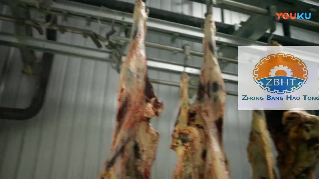 Cattle Complete Slaughter Line Killing And Bleeding Beef Slaughter ...