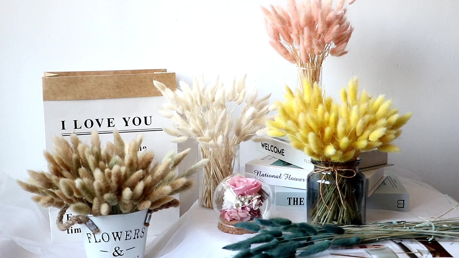 Luxury Home Decoration Bunny Tails Dried Flowers Grass Original Lagurus ...