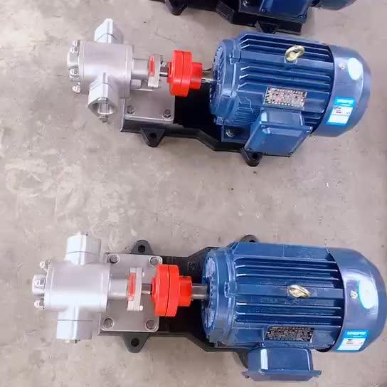 Gear Pumps Food Grade Oil Pump Stainless Steel Electric High Pressure ...