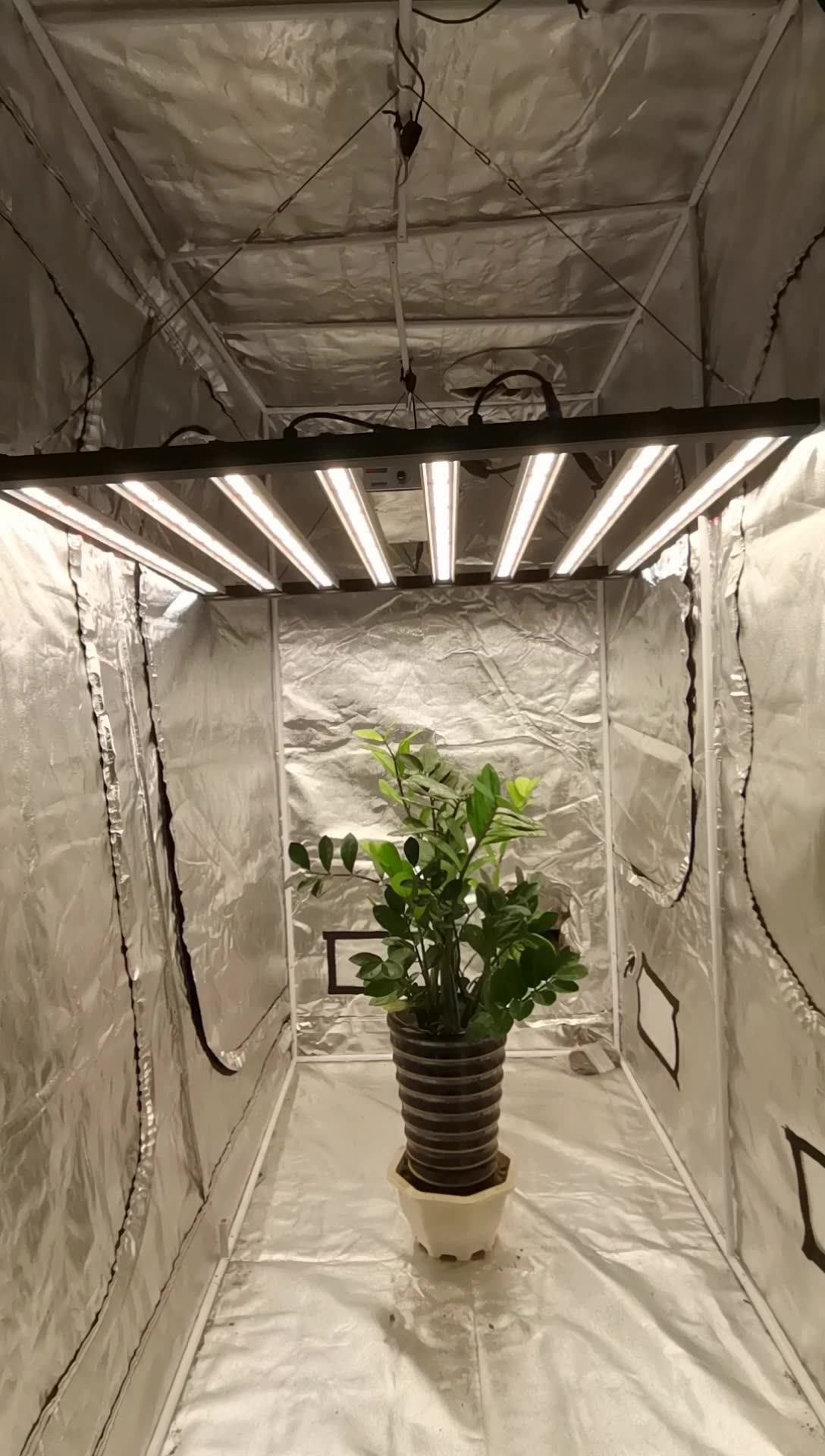 Koniea Dimmable 8 Bars Samsung Led Grow Light Removable With 0-10v ...