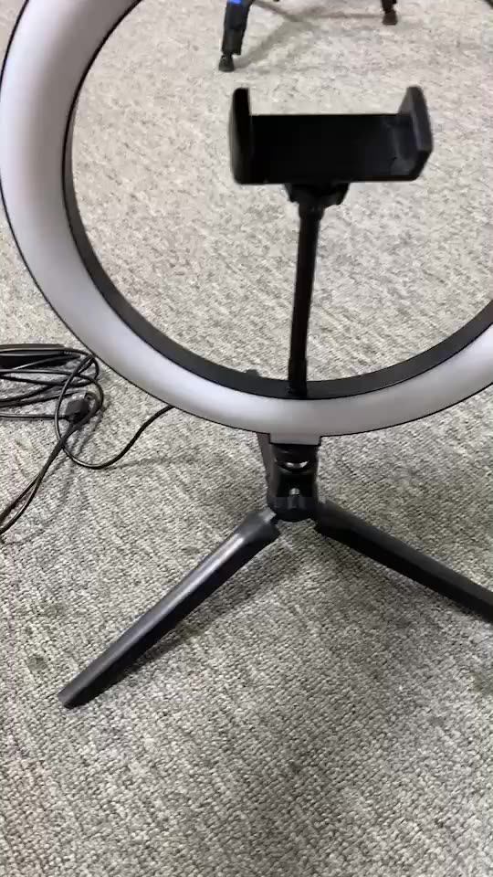 Portable Adjustable Brightness Mobile Tik Tok 10 Inch Ring Light Stand ...