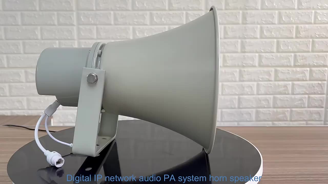 Public Address System Poe Speaker 30w Ceiling Wall Column Horn Speaker Series - Buy Poe Speaker ...