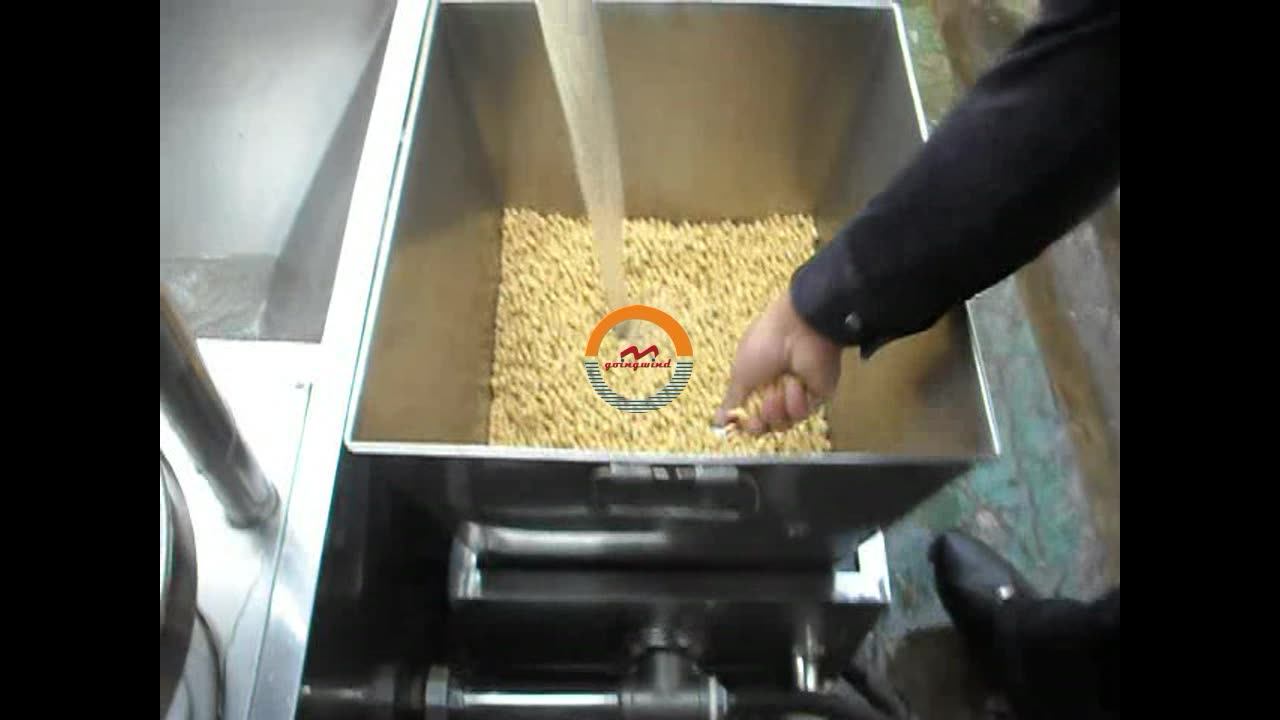 Automatic Commercial Mung Bean Washing Machine Auto Industrial Mung ...