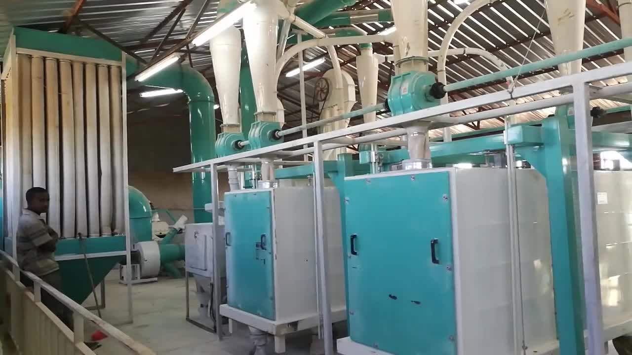 30tons Automatic Complete Corn Flour Milling Plant Maize Roller Mill ...
