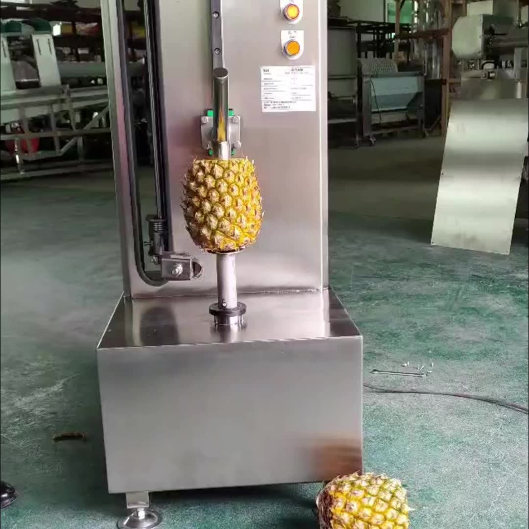 Automatic Breadfruit Mango Pineapple Wash Fruit Vegetable Coconut ...