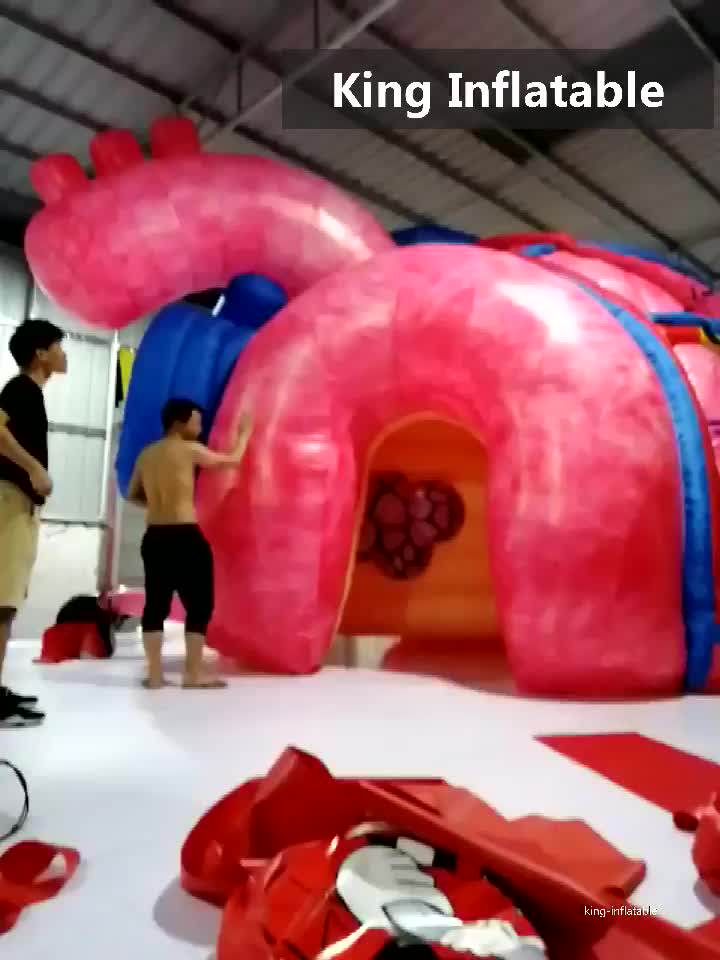 Giant Inflatable Heart Tent Model Human Body Large Organs Medical ...