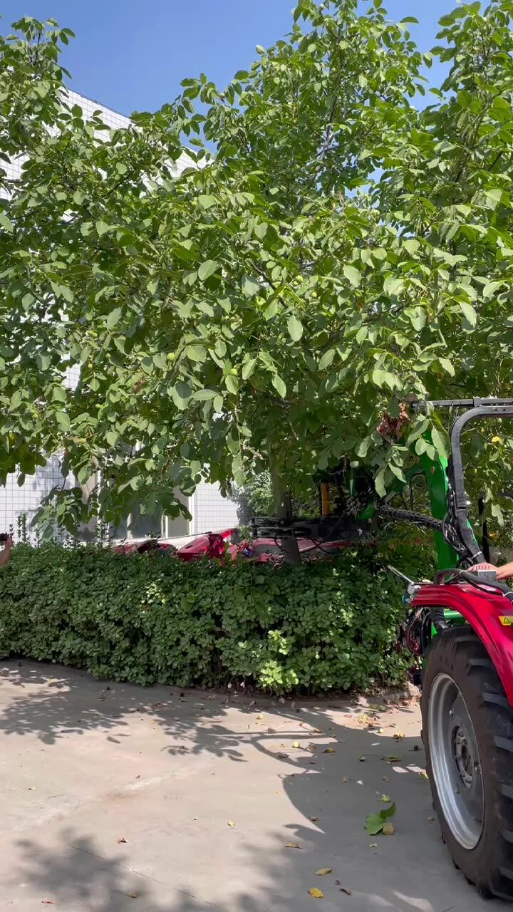 4zg-25 Tractor Mounted Fruit Harvester - Buy Hazelnut Harvester,Olive ...