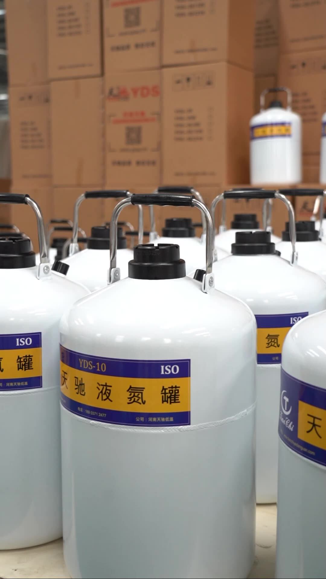 Yds6 Cell Storage Cryogenic Dewar Liquid Nitrogen Bottle Flask Small ...