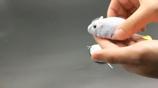 Walking Mice Rc Pet Game Remote Control Mouse Toy For Cat - Buy Remote ...