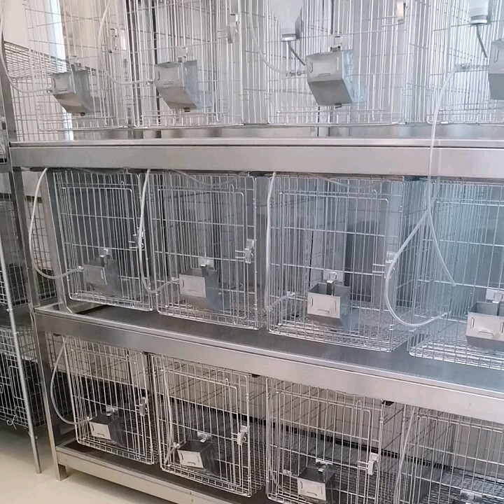 Laboratory Stainless Steel Washing Rack For Rabbit Cage Experiment Cage ...