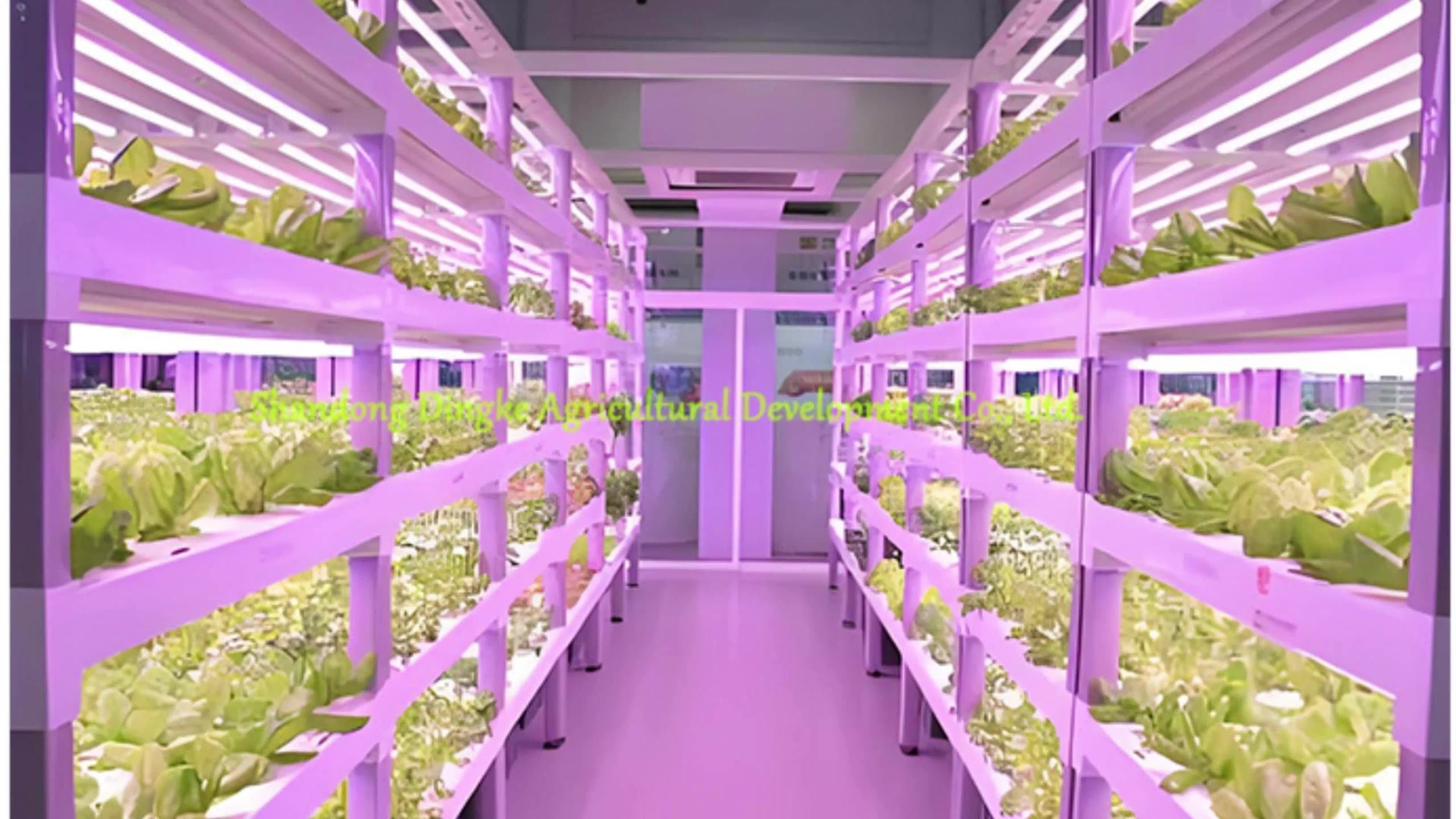 Planting Smart Vegetable Room Planting Equipment Soilless Hydroponic ...