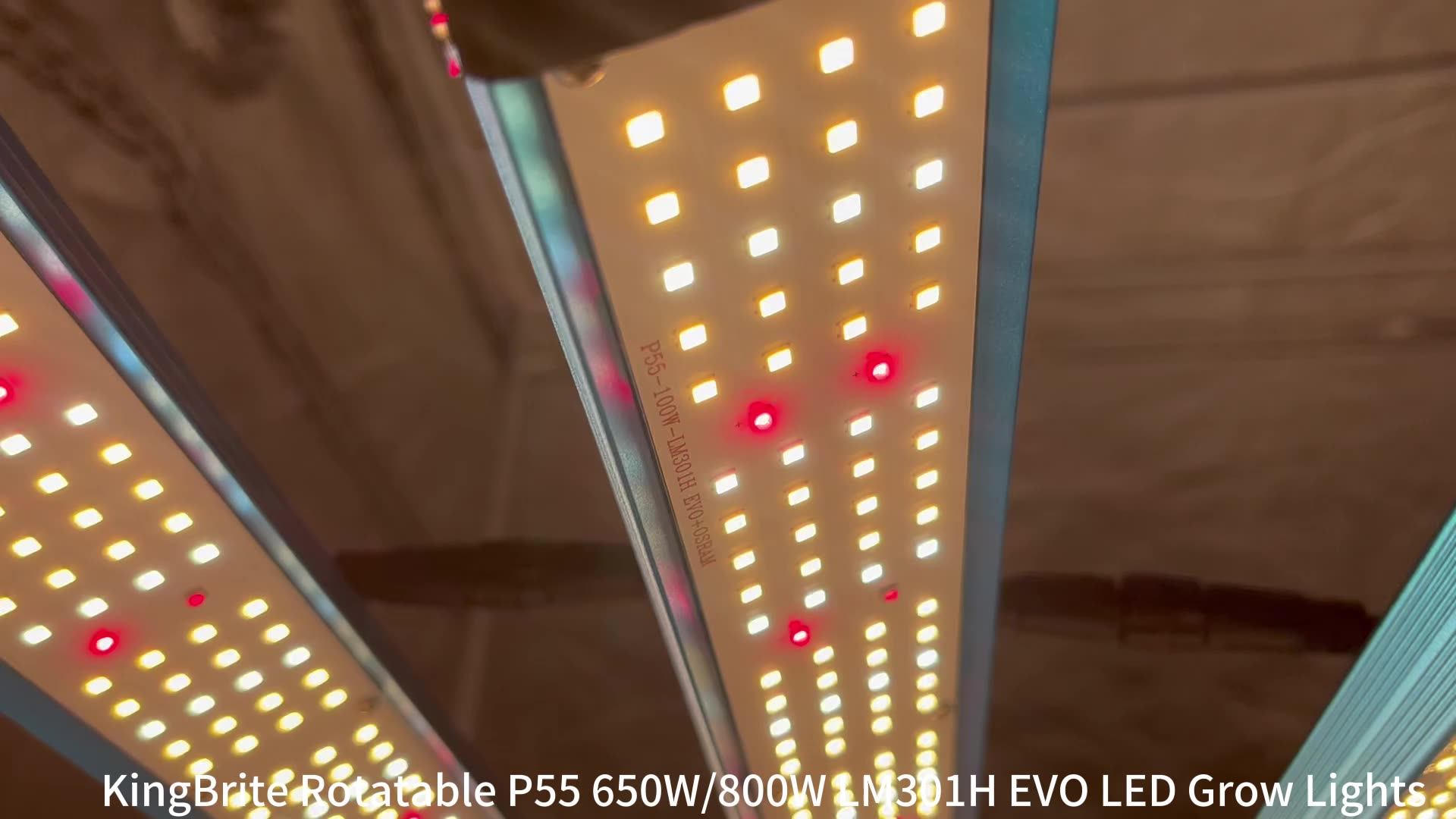 Ppe 2.98 Umol/j Rotatable Lm301h Evo 650w/800w Led Grow Lights,Lm301h ...