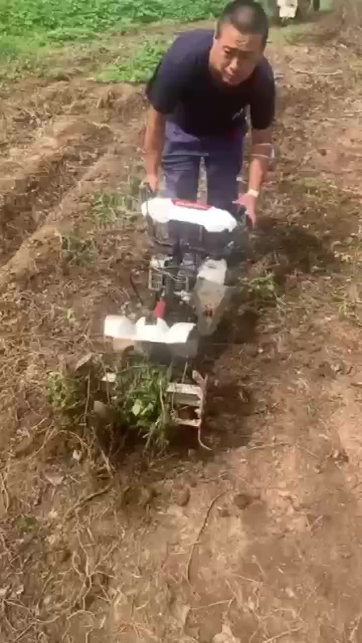 Mini Tiller Land Cultivation Machine Motor Cultivators Hand Rotary Tiller Motoculteur Agricole ...