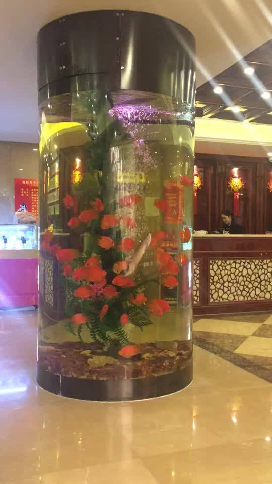 Beautiful Home Led Acrylic Aquarium Tube / Fish Column Aquarium For ...