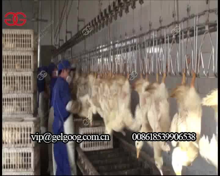 Automatic Professional Killing The Chicken Machine Poultry Slaughtering ...
