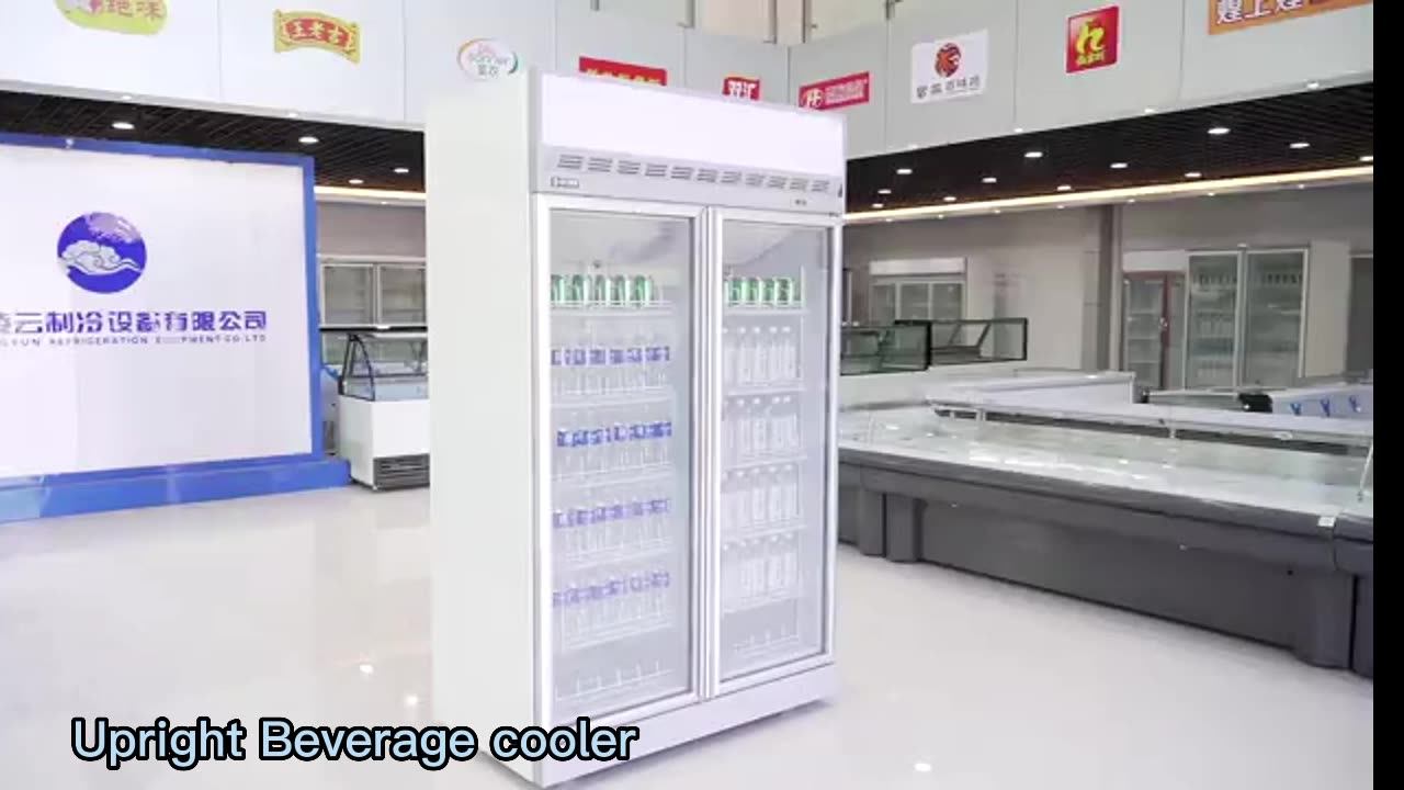 Commercial Beer Pepsi Soft Drink Display Refrigerator Beverage Cooler ...