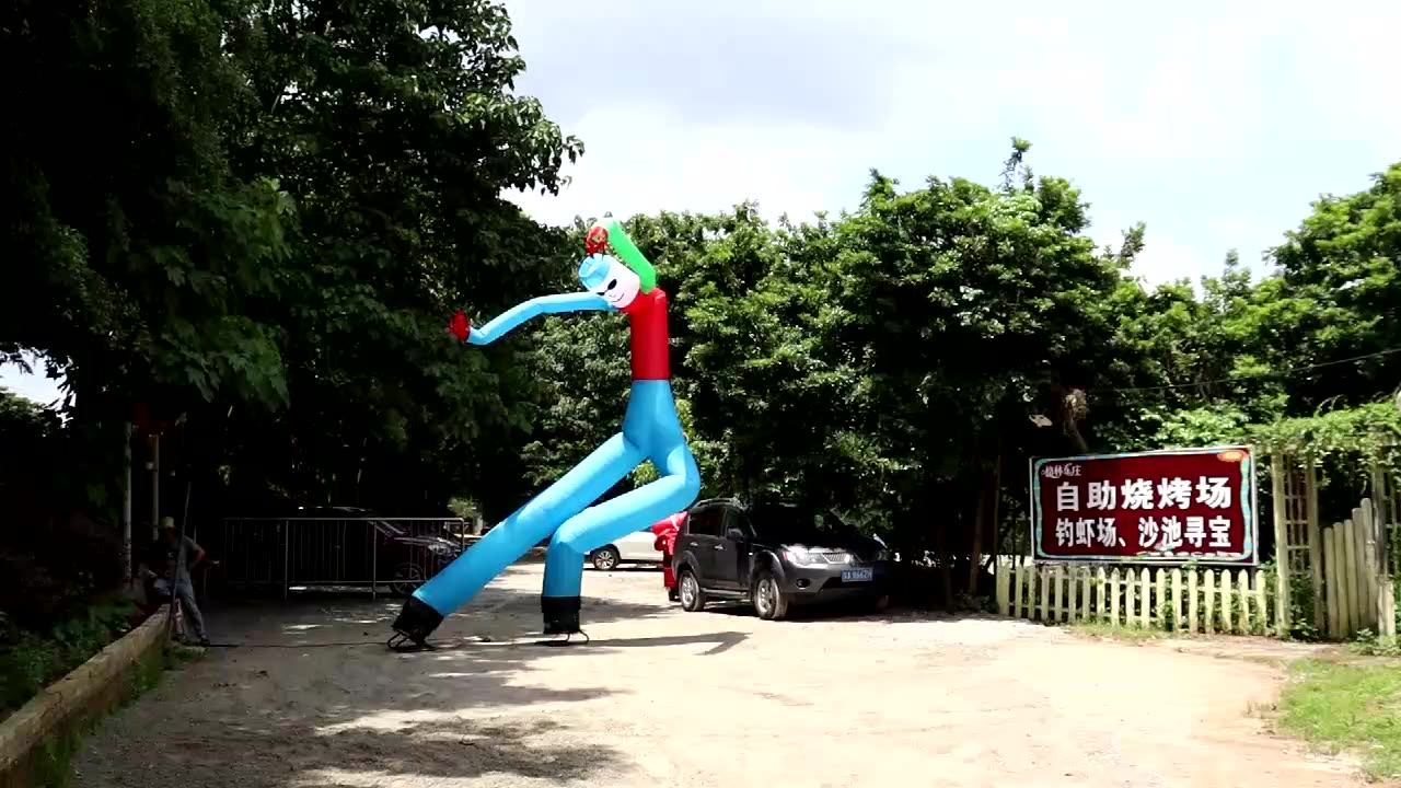 Inflatable Palm Tree Air Puppet Sky Dancer - Buy Air Dancer,Palm Air ...