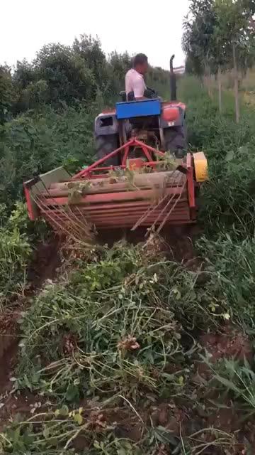 High Efficiency Cassava Root Harvester Harvesting Machine Cassava ...