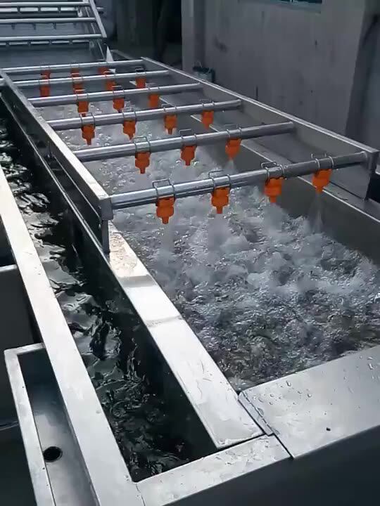Industrial Tomato Herb Lemon Sorting Rotary Washer Washing Cleaner ...