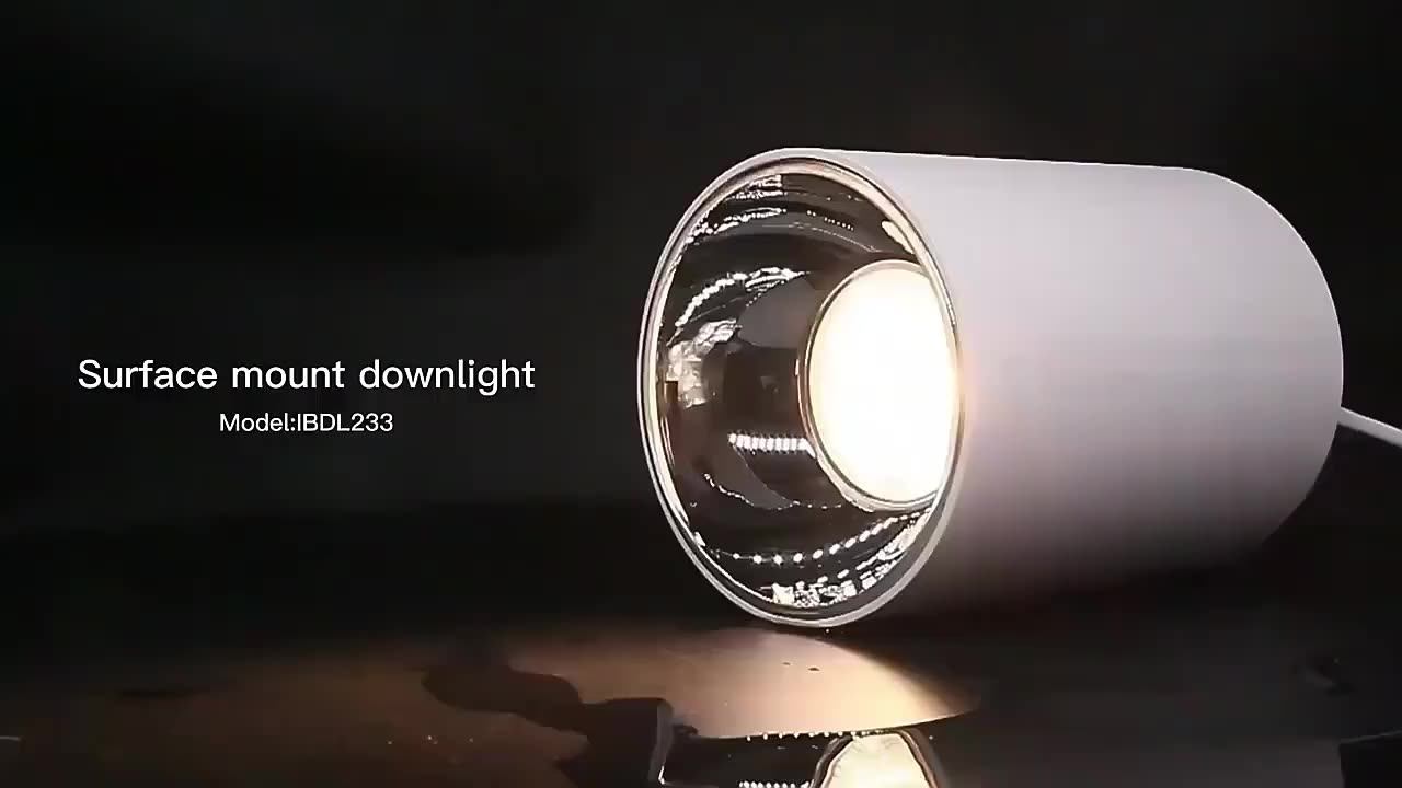 Indoor Ceiling Surface Mounted Cob Led Ip65 Waterproof Downlight 10w ...