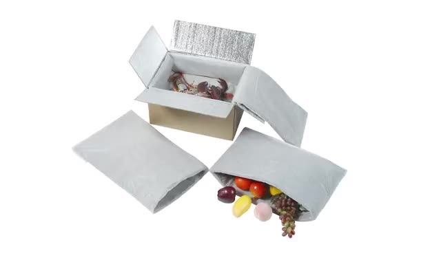 Recyclable Cold Chain Packing Transport Container Liners Insulated Food ...