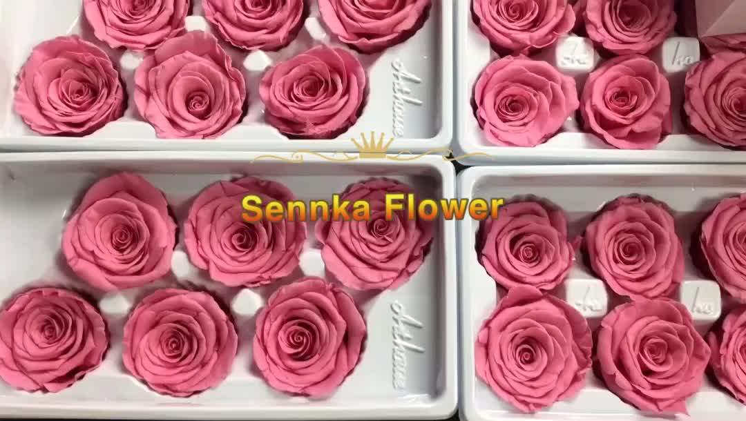 Wholesale Long Lasting Eternal Rosas Flores Preservadas Forever Rose ...