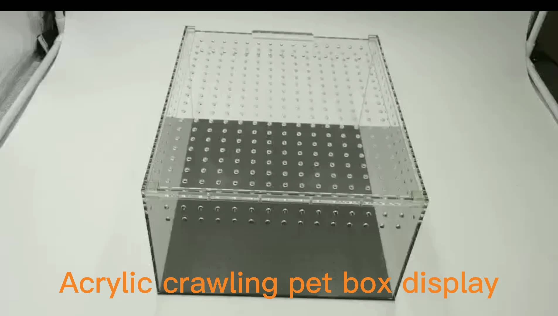 Insect Containers Tarantula Acrylic Pet Climbing Reptile Turtle ...