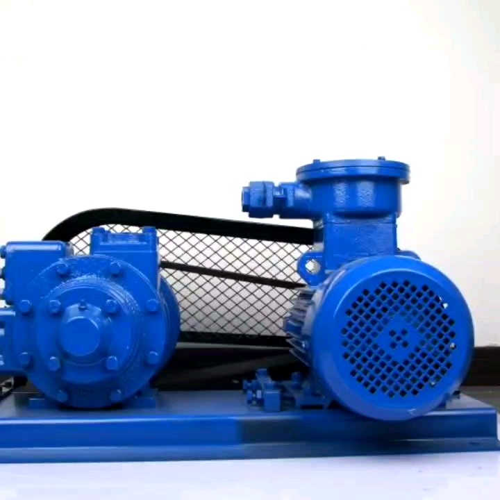 Blackmer Sliding Rotary Vane Yb 50 Explosion-proof Diesel Pump - Buy ...