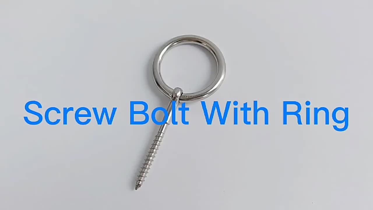 Hot Sell Hardware Stainless Steel 316 Or 304 Screw Bolt With Ring ...
