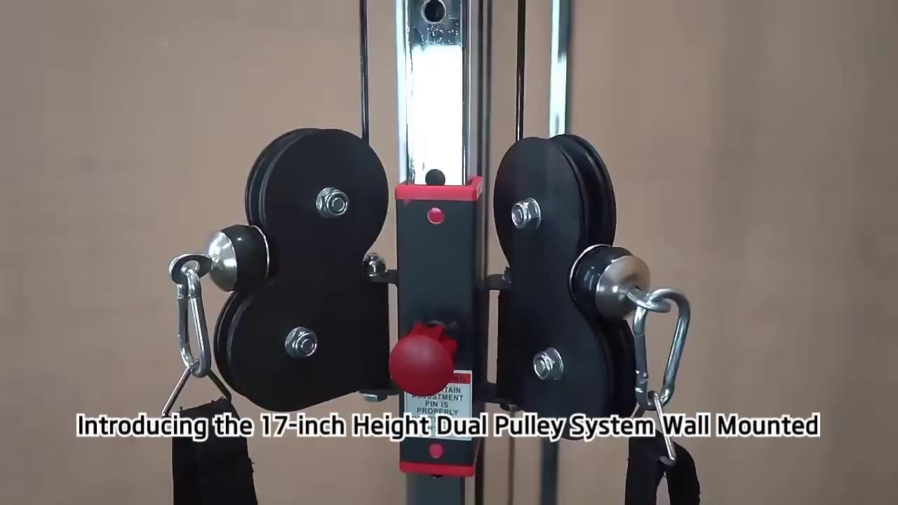 17-inch Height Dual Pulley System Wall Mounted Lat Pulldown Machine For ...