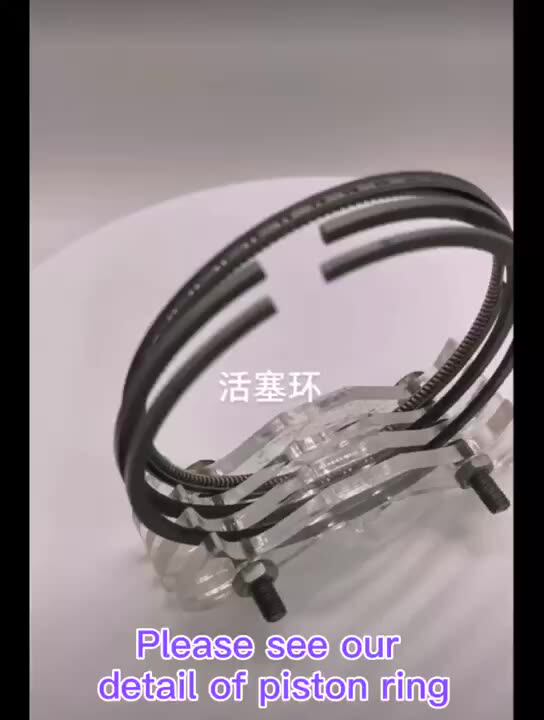 China Famous Production Factory Supply Engine Piston Ring Set 1786543 ...