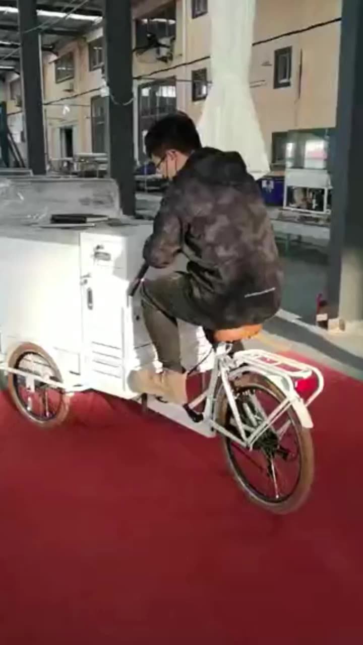 Professional Customized Ice Pop Gelato Tricycle Ice Cream Vending Bike ...