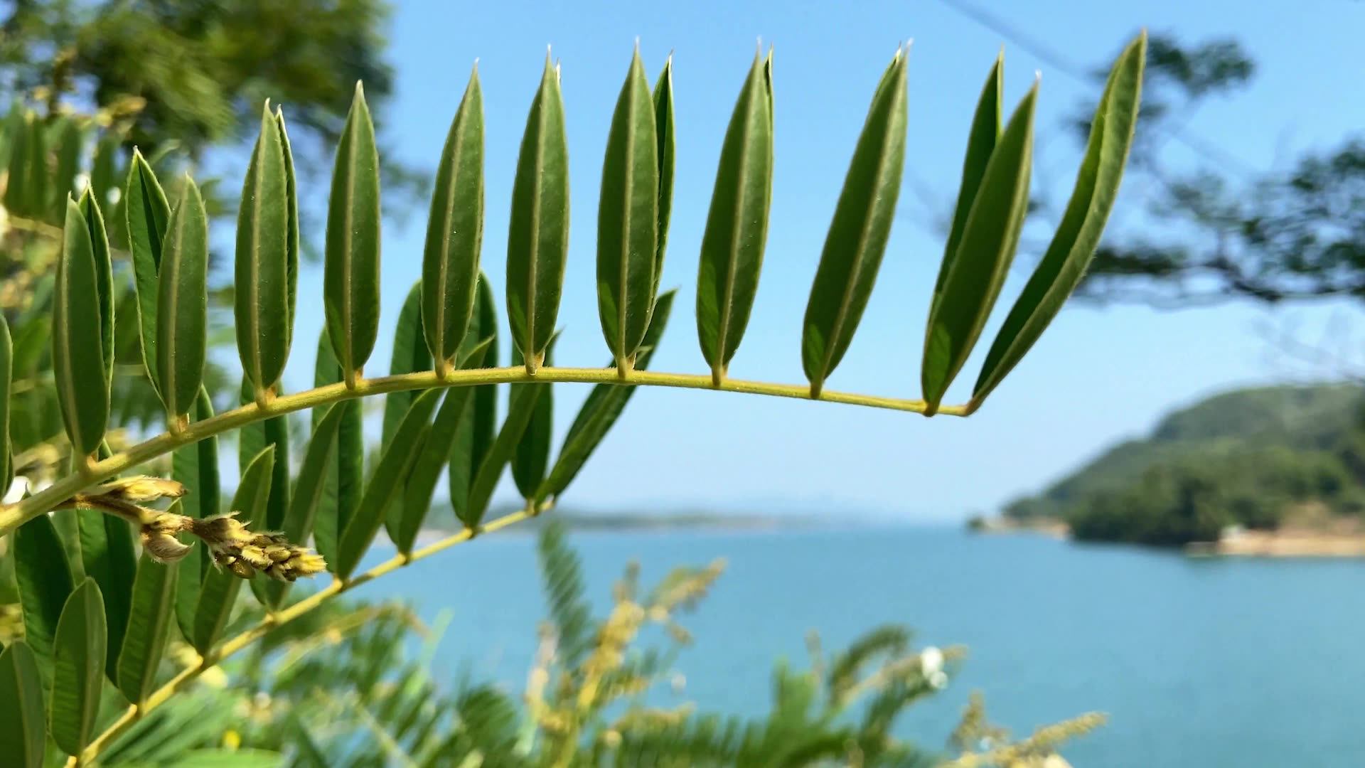 Yunsu S9 Space Capsule House Whole Readymade Smart Camping Mobile Homes ...